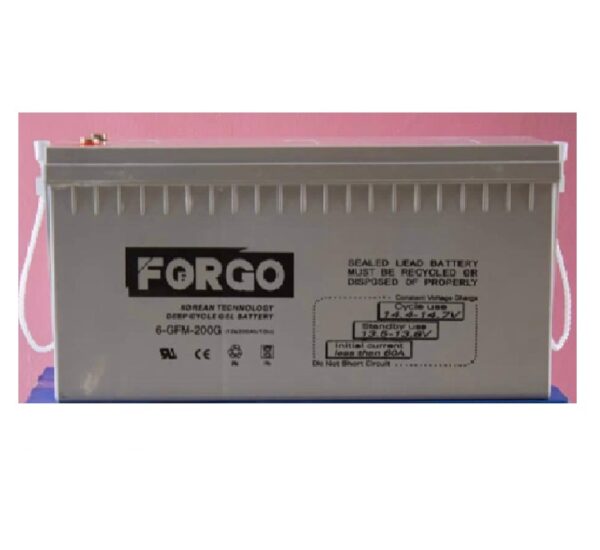 12V 200AH FORGO DEEP CYCLE BATTERIES – Enlighten Technology